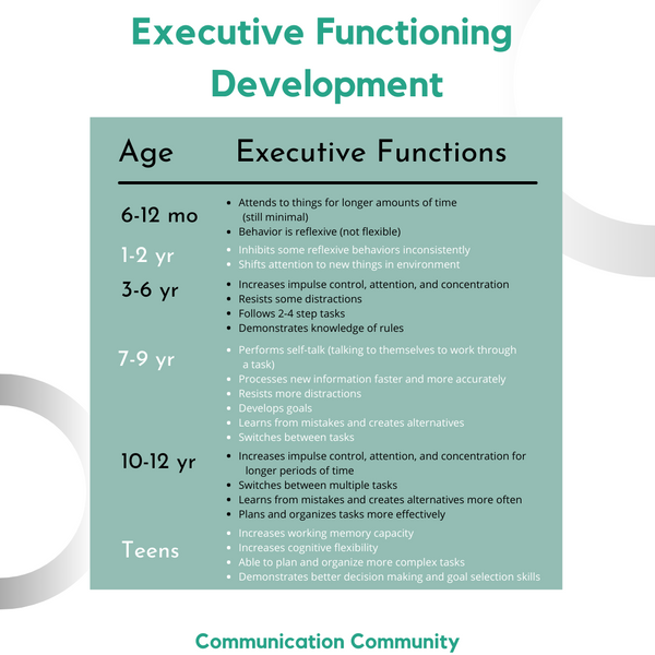 What is Executive Functioning, and Why is it Important?
